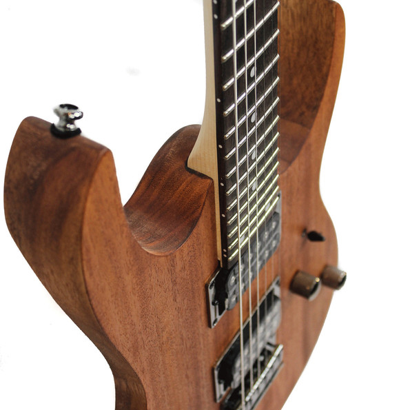 Ibanez RG421-MOL RG Standard Series Electric Guitar - Son Sound